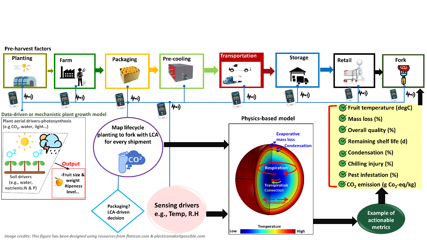 What is the role of digitalisation for a sustainable agri-food system ...
